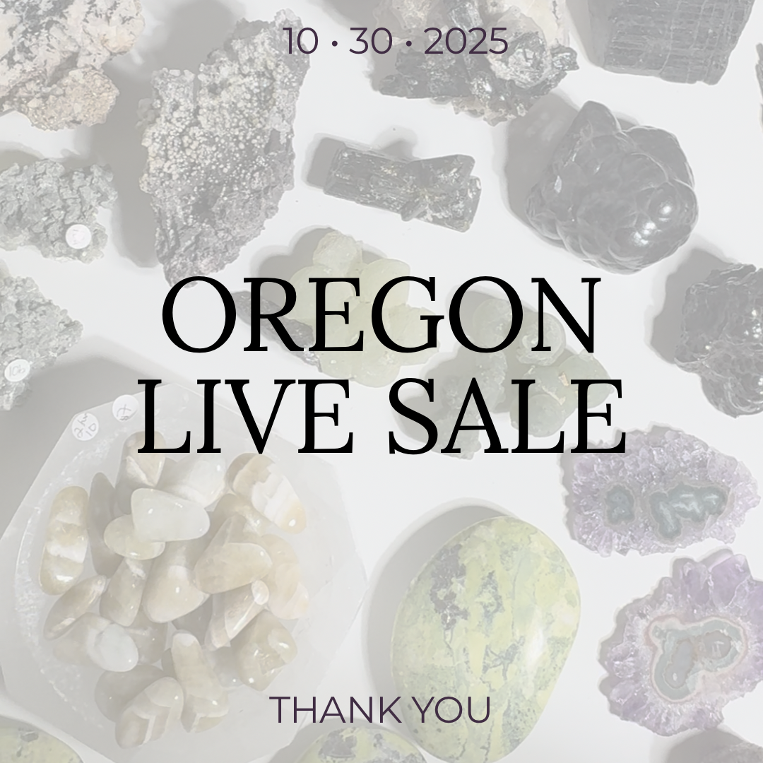 @the_one_and_only_mrs_barnhart – JS Wholesale + Live Sales